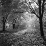 TV Movies | Rick Garman